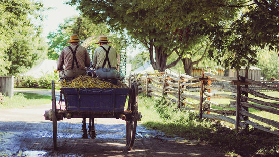 Michigan Amish Store